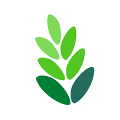 Bigas Online Free Delivery